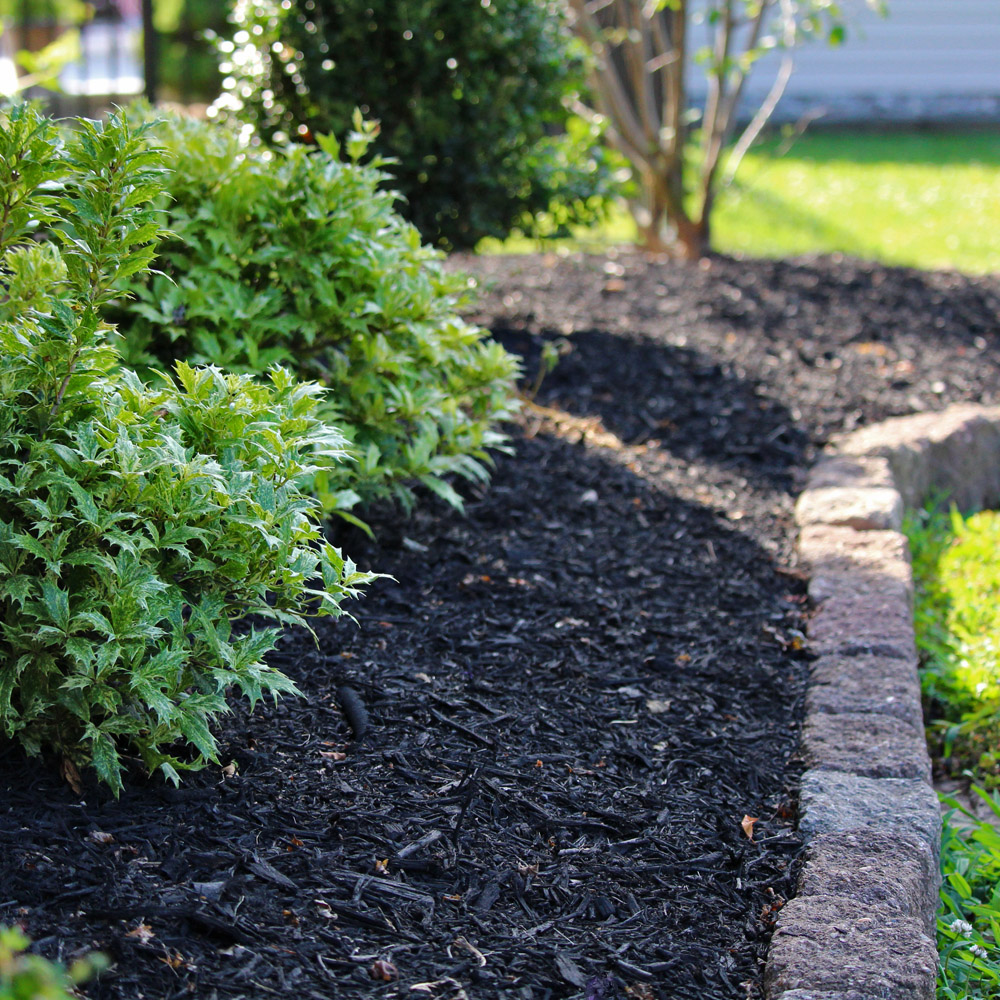 Mastering Mulch: How and Why to Mulch Your Fall Garden – Nunan Florist ...